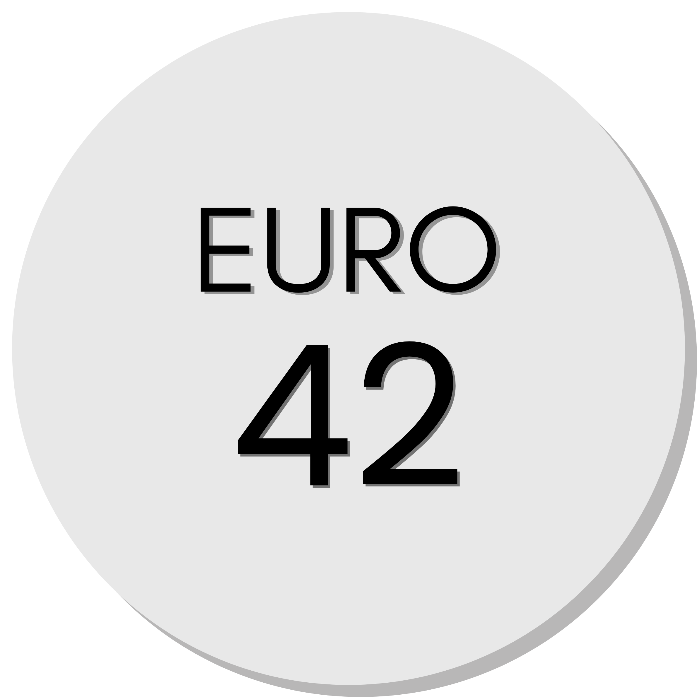 EURO 42 – Sports Bazaar